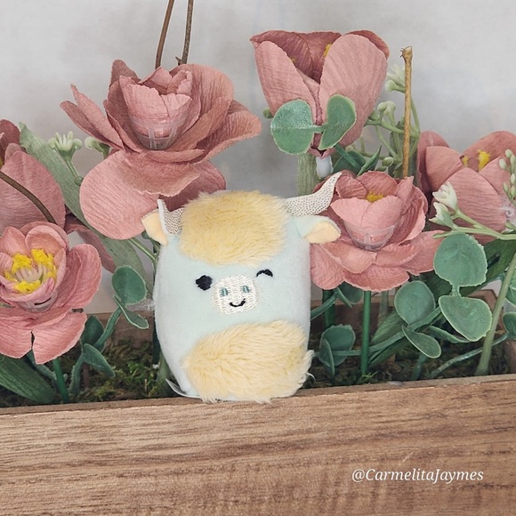 Squishmallows | Toys | Armie Highland Cow Squishville Htf Original ...